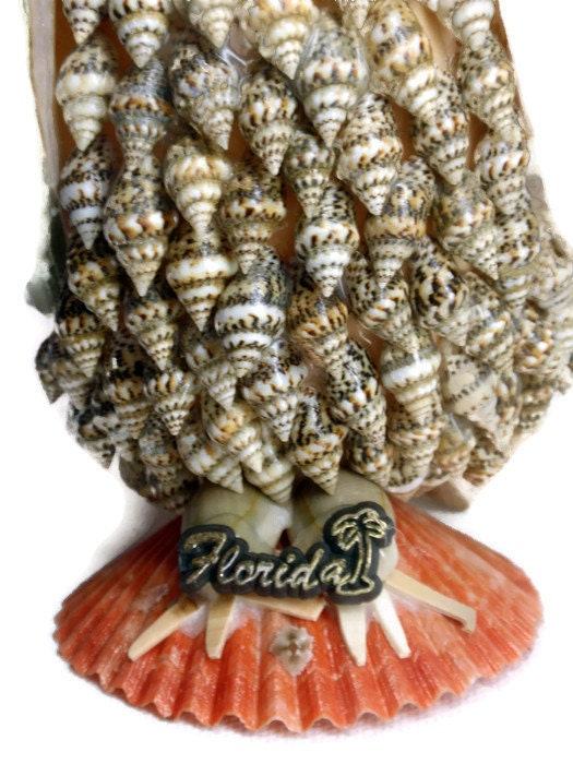 Seashell Art. Beautiful Sea Shell Owl . Handmade 100% | Etsy