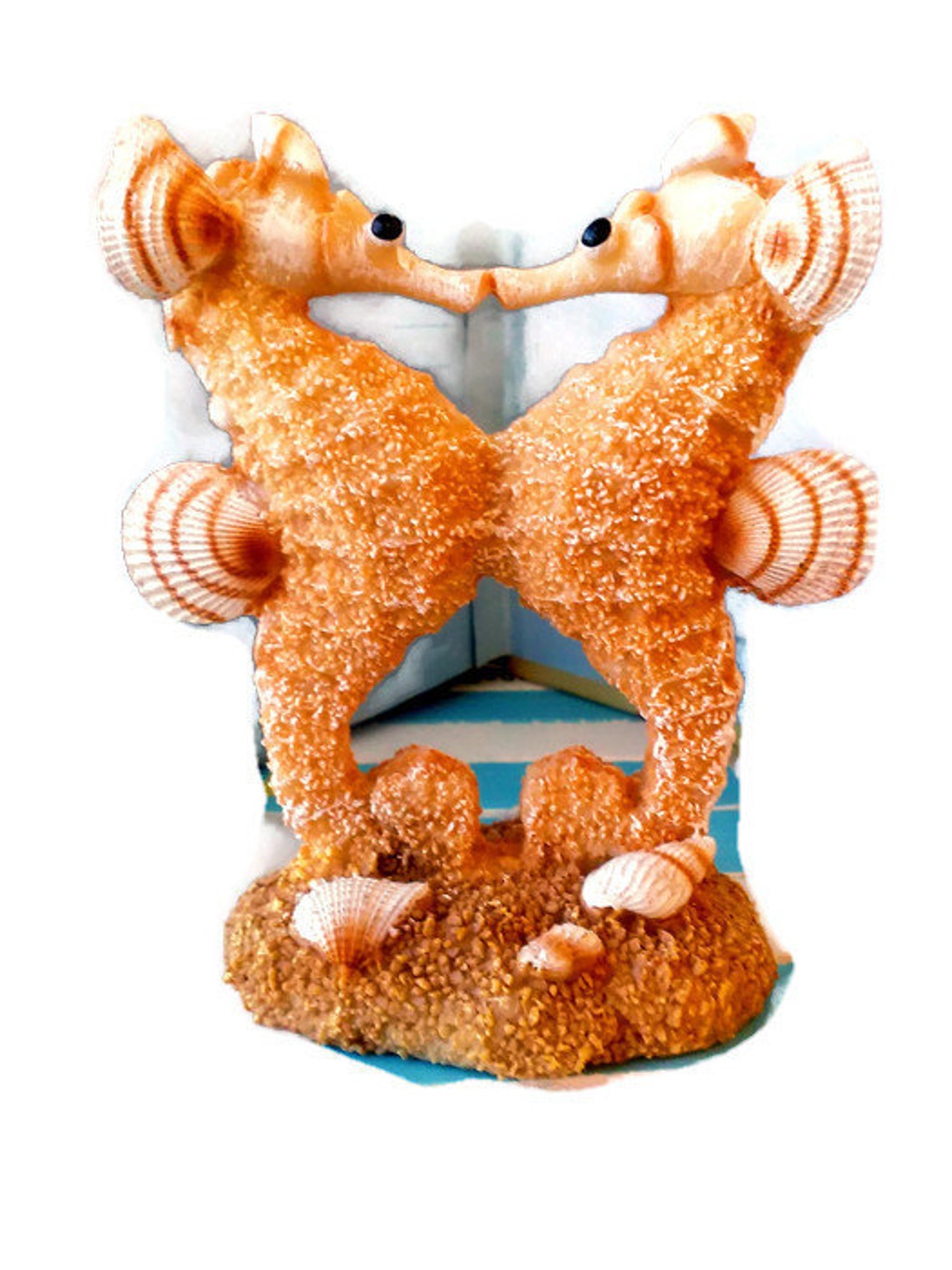 Beautiful Seahorses made out Shell & Sand | Etsy