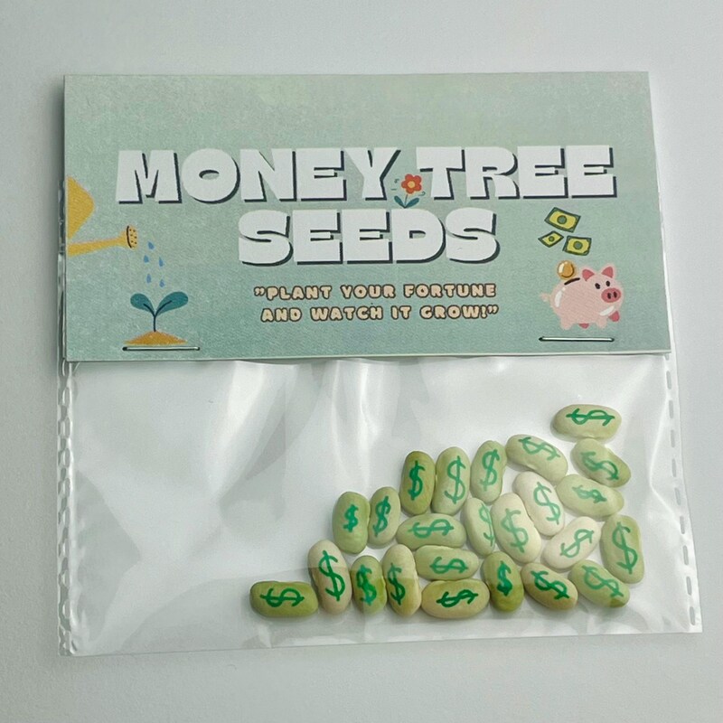 Tree Seeds - Etsy