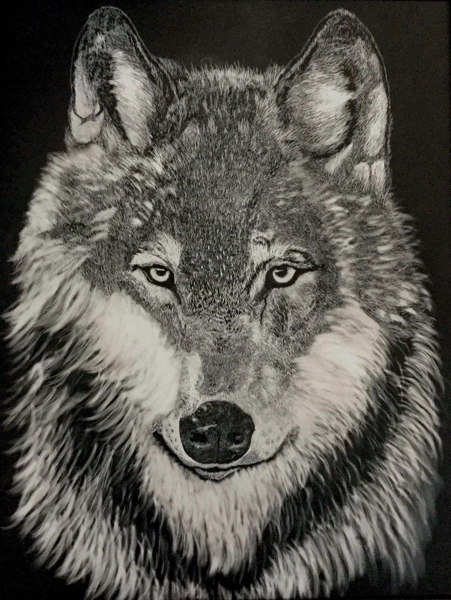 Scratchboard Drawings Of Wolves