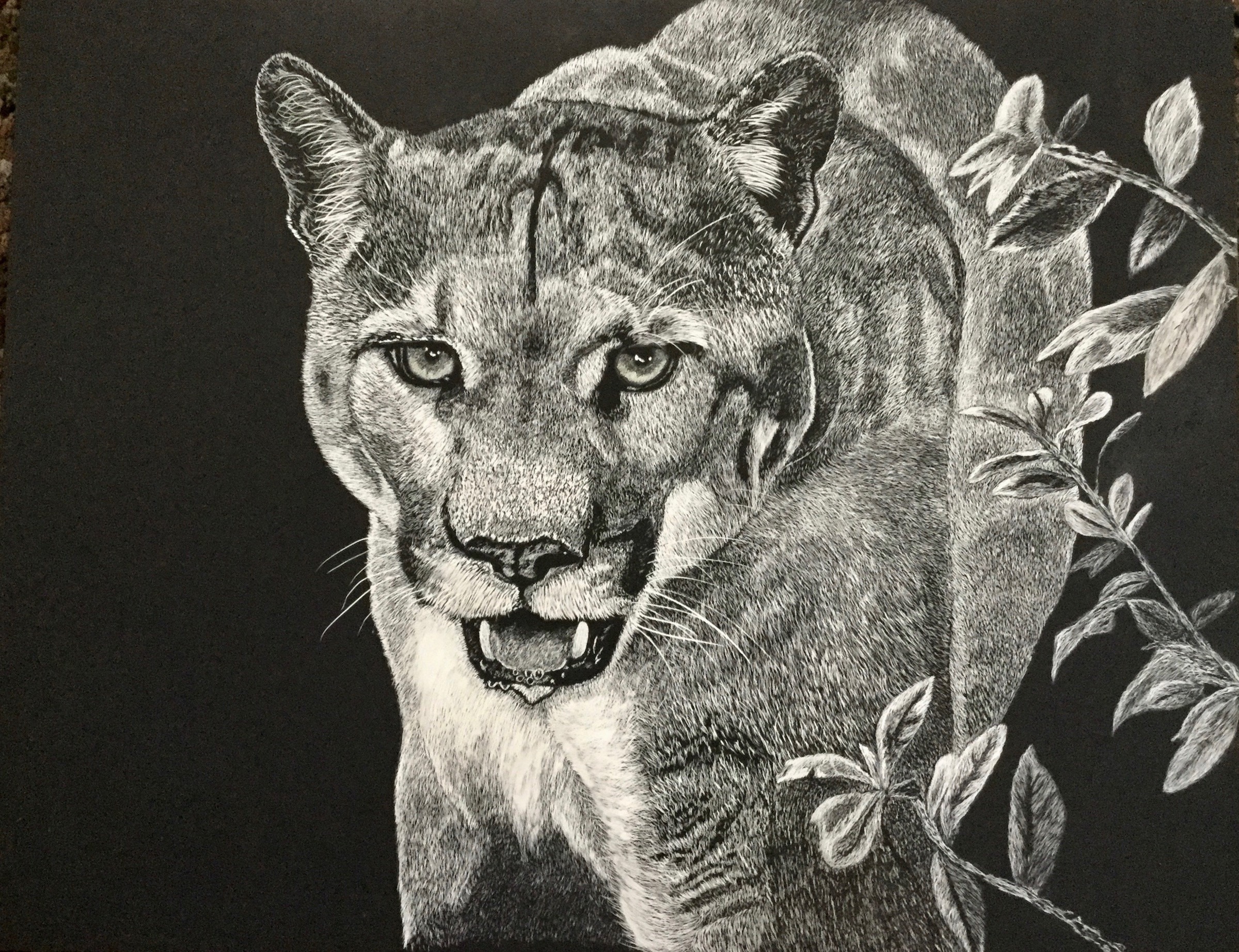 Scratch Art Animals Lion