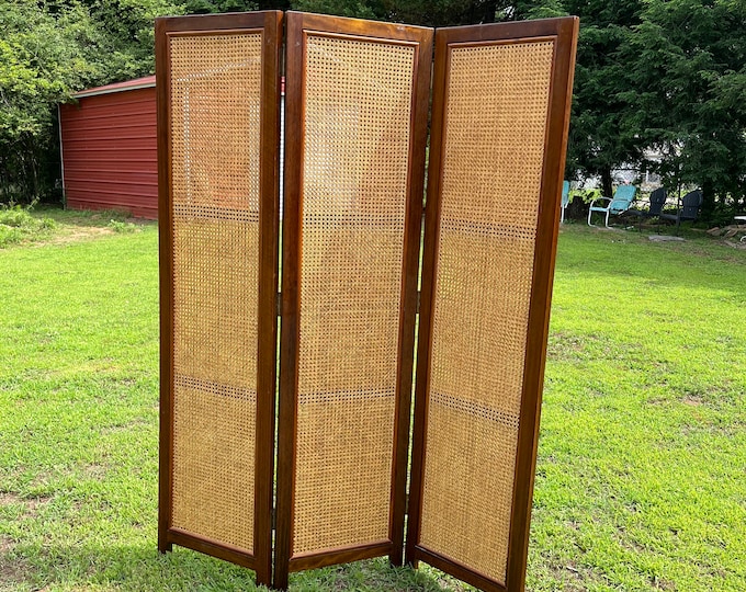 Vintage Mid Century Modern Wood and Cane Screen Room Divider, Partition ...