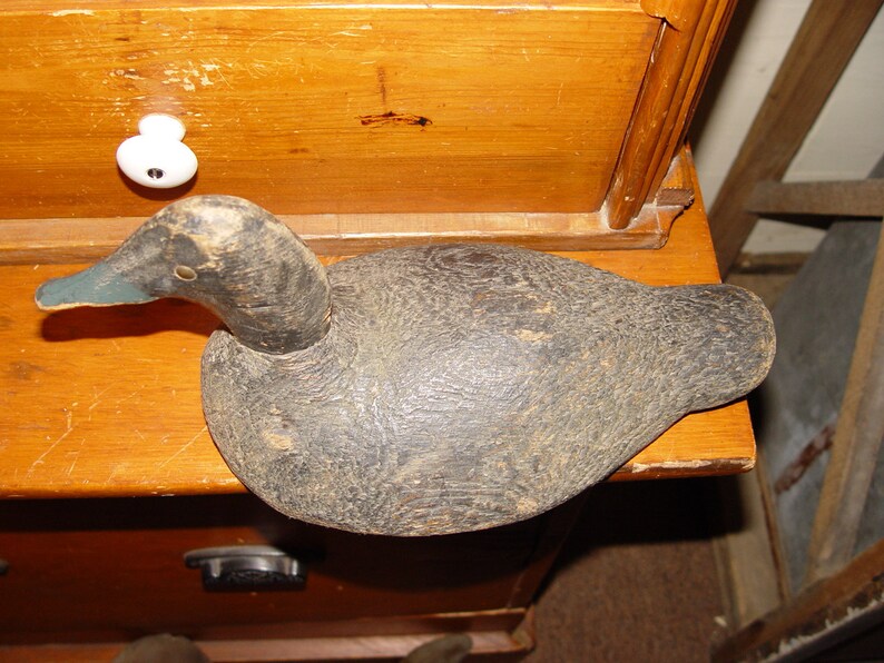 Vintage Minnesota Coot Working Duck Decoy Original Paint Folky Tack ...