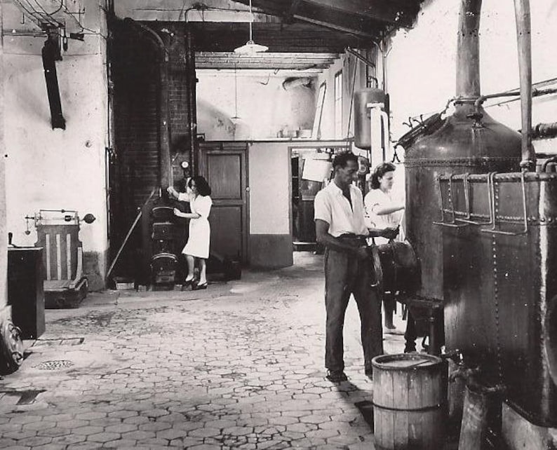GRASSE FRANCE - Fragrance, Perfume Factory -- Cite Des Parfums, Une ...
