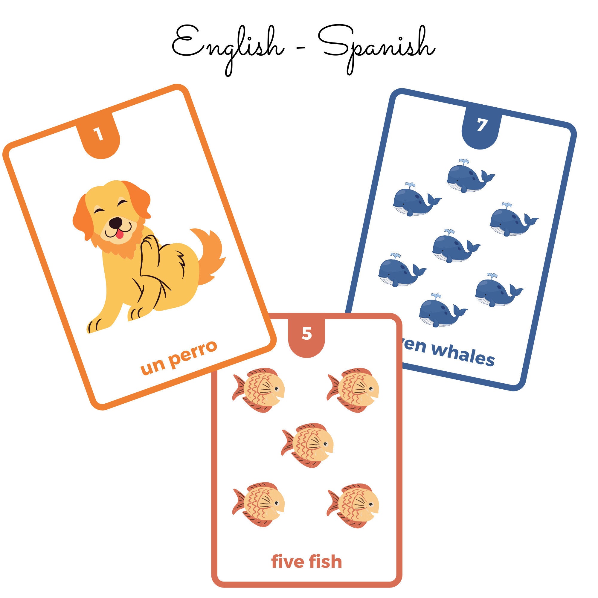 Spanish English Bilingual Number Counting Flashcards - Etsy.de
