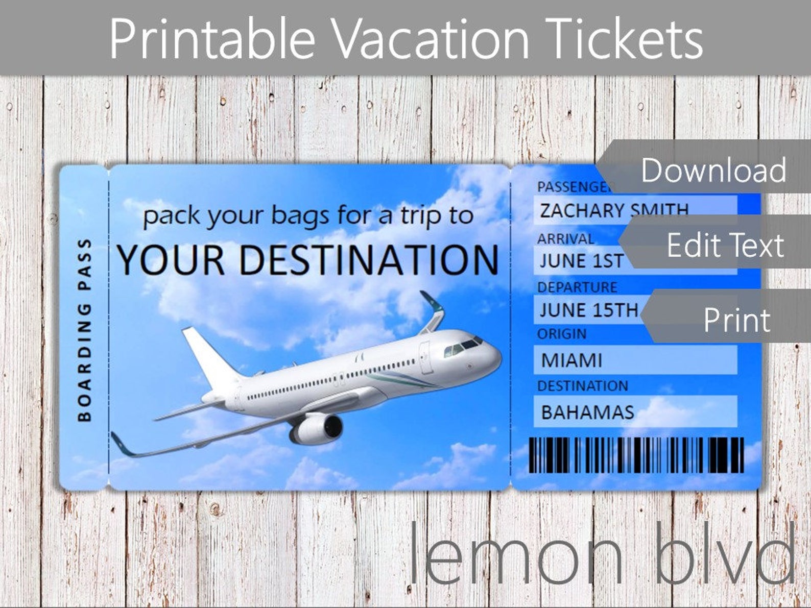 Surprise Trip Tickets Vacation Ticket Instant Digital - Etsy