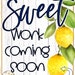 Classroom Posters, Lemon Classroom Decor, Classroom Sign, Lemon Print ...
