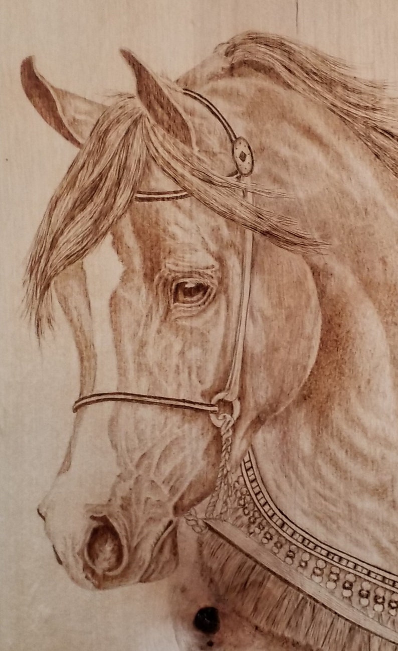 Arabian Horse Art Picture on Birch Slab. Pyrography Art. Horse - Etsy