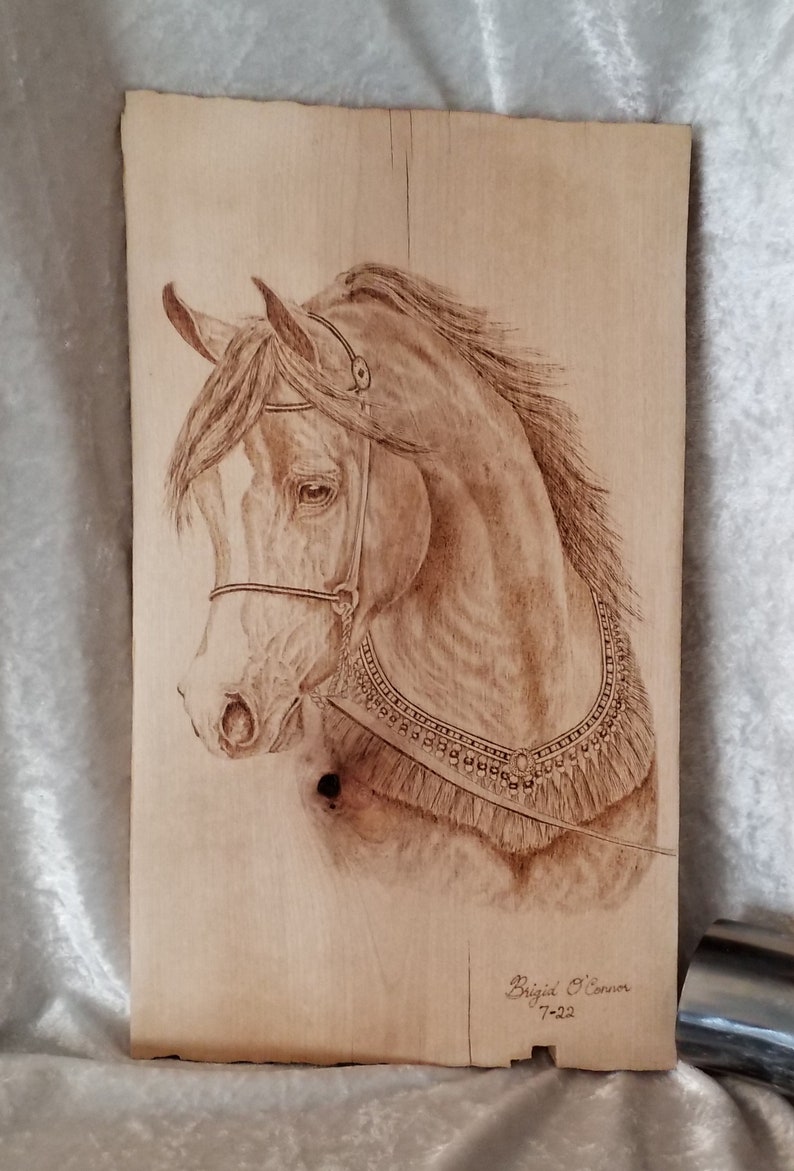 Arabian Horse Art Picture on Birch Slab. Pyrography Art. Horse ...