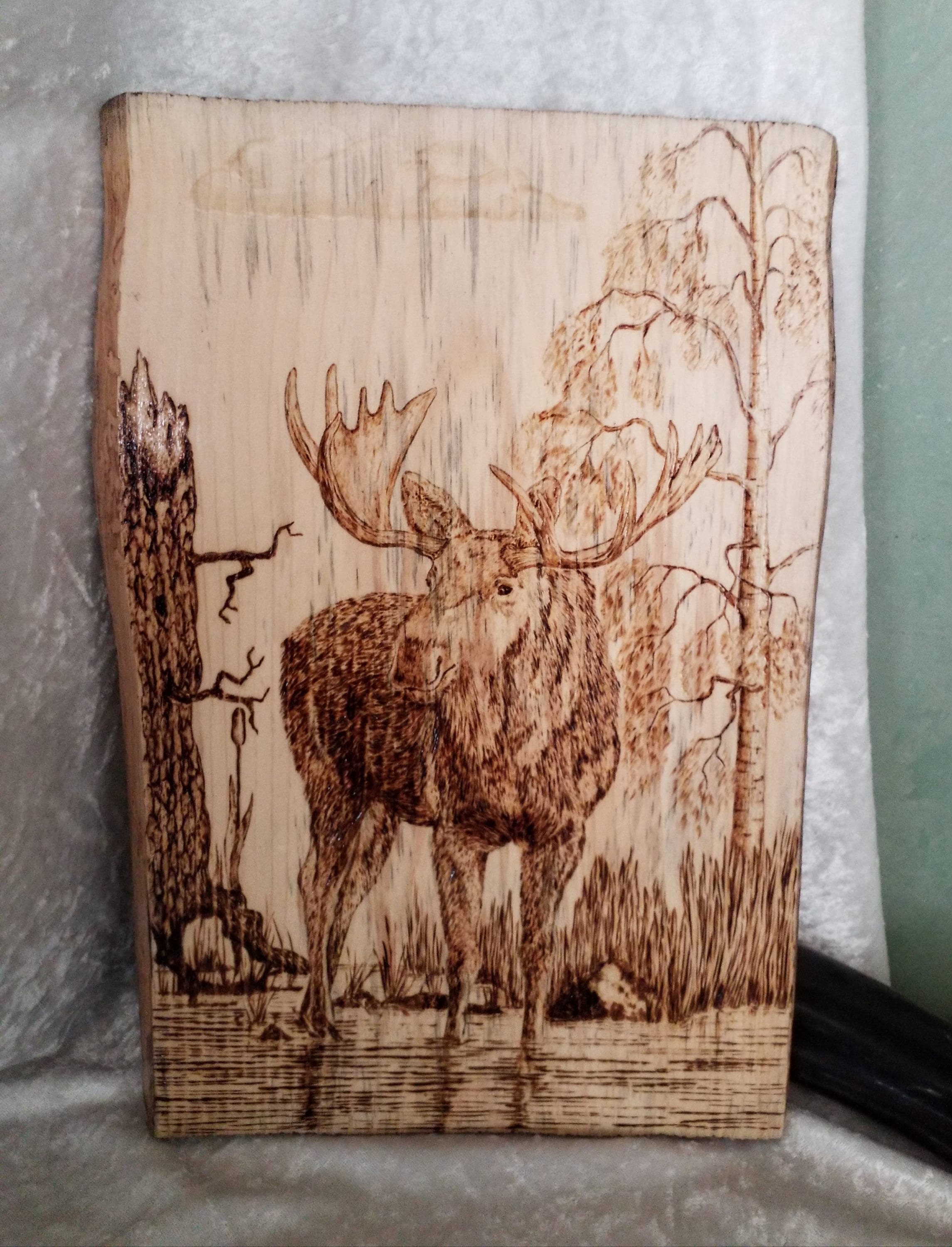 Moose Pyrography Picture. Swamp Moose Scene. Northwest Wildlife Decor ...