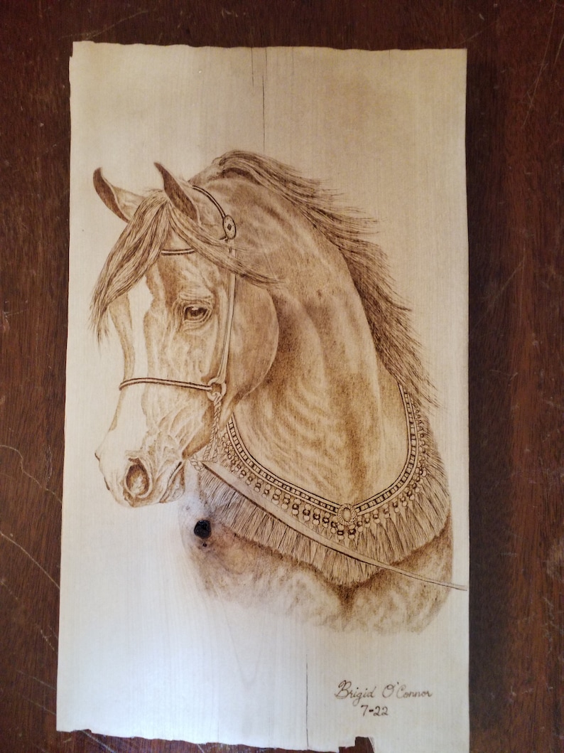 Arabian Horse Art Picture on Birch Slab. Pyrography Art. Horse ...