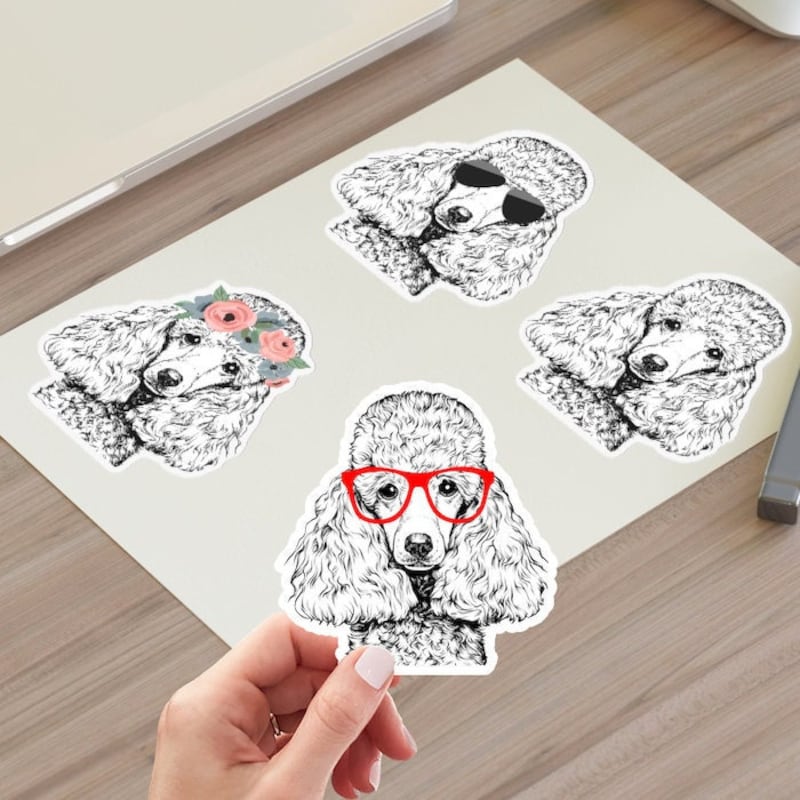 Poodle Sticker - Etsy
