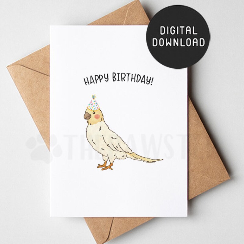 Cockatiel Gift - 60+ Gift Ideas for 2024