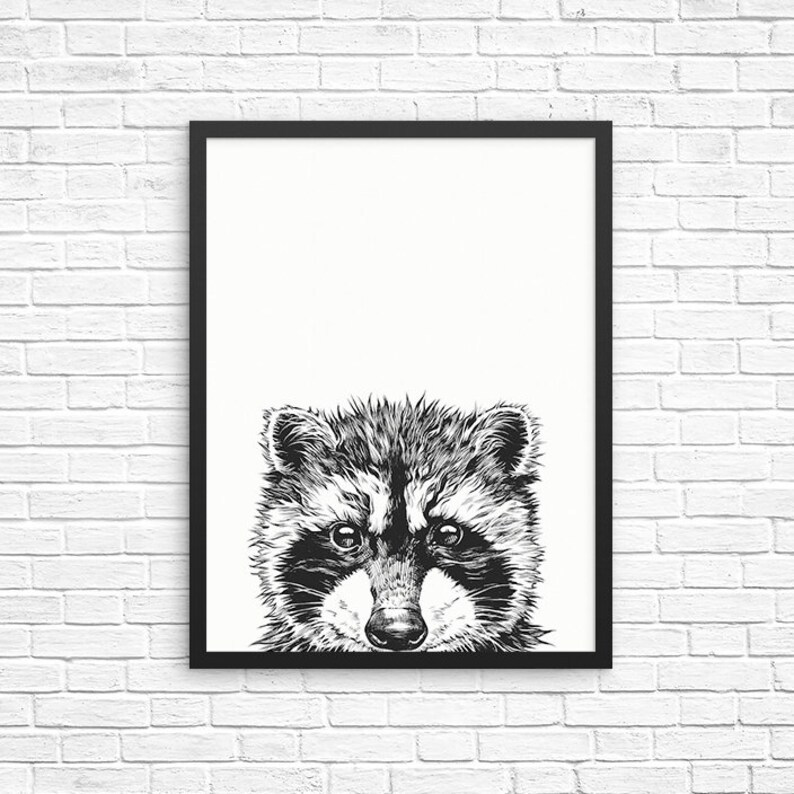 Raccoon Wall Art Racoon Print Raccoon Decor Animal Prints - Etsy