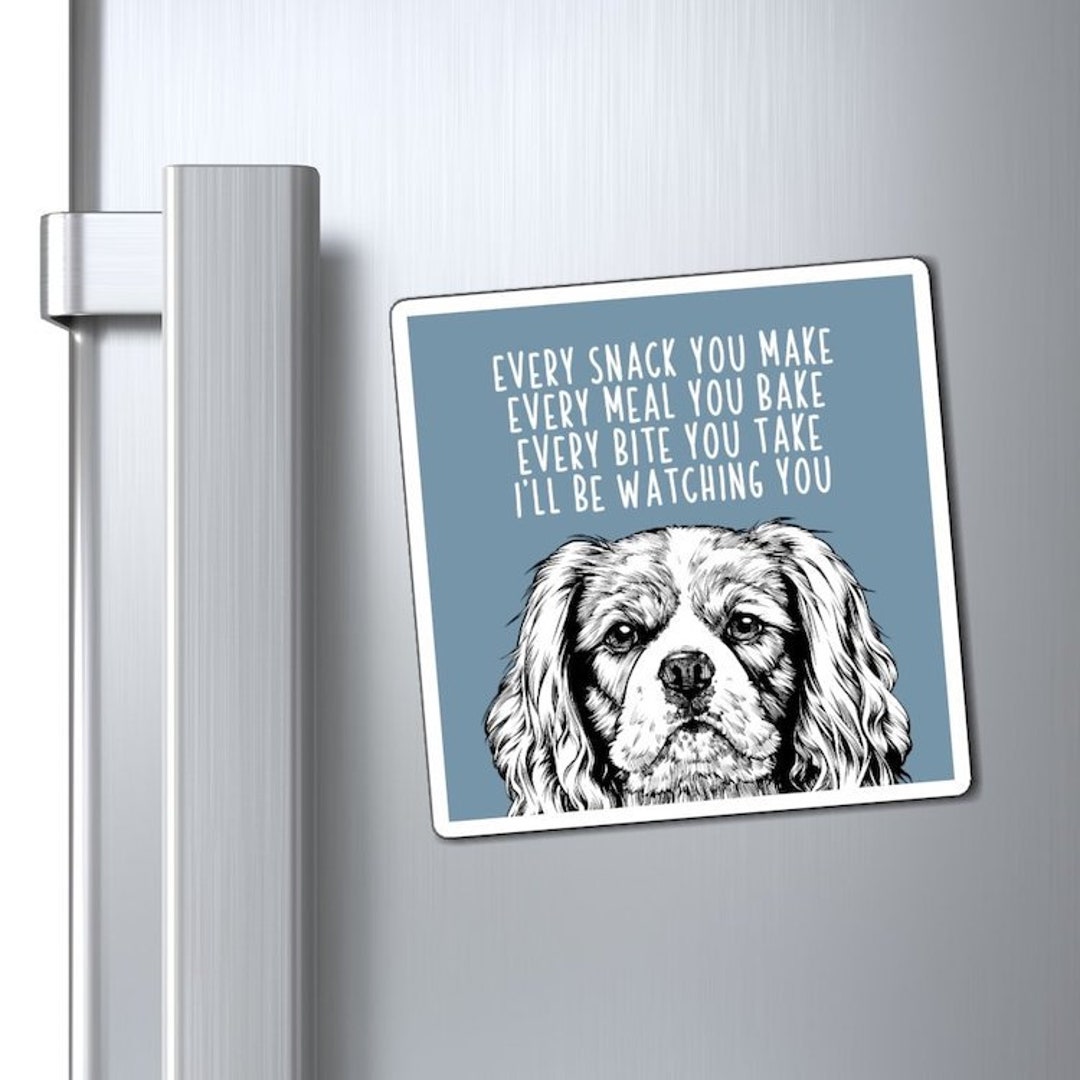 Cavalier King Charles Spaniel Magnet, Every Snack You Make Every Meal ...