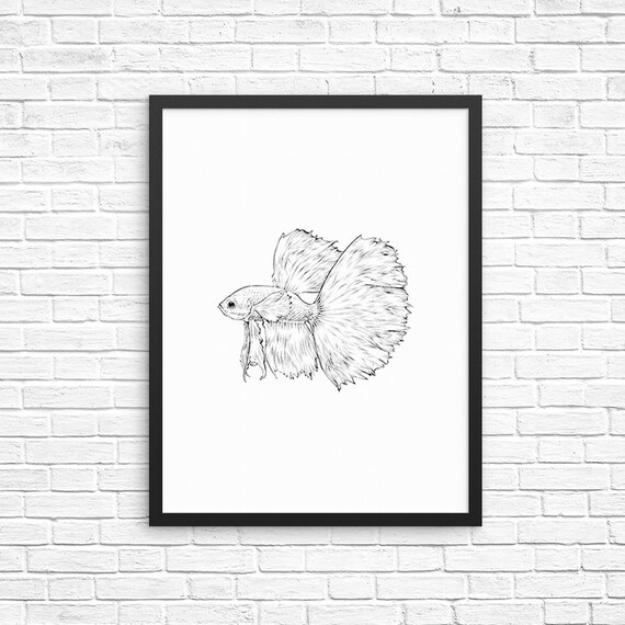 Betta Fish Wall Art Siamese fighting Fish Print Animal | Etsy
