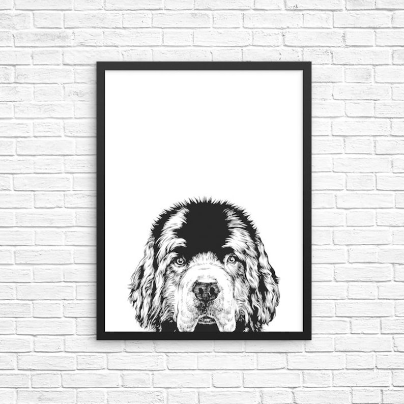 Newfie Wall Art, Newfoundland Dog Portrait Print, Farmhouse Sign, Wall ...