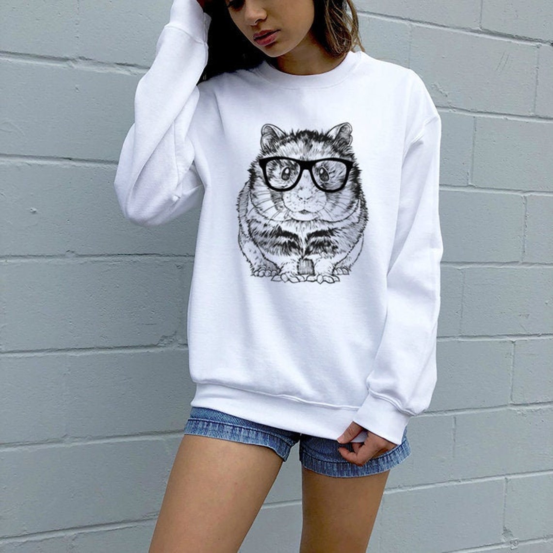Hamster Sweatshirt Hipster Hamster Animal Hoodie Baseball - Etsy