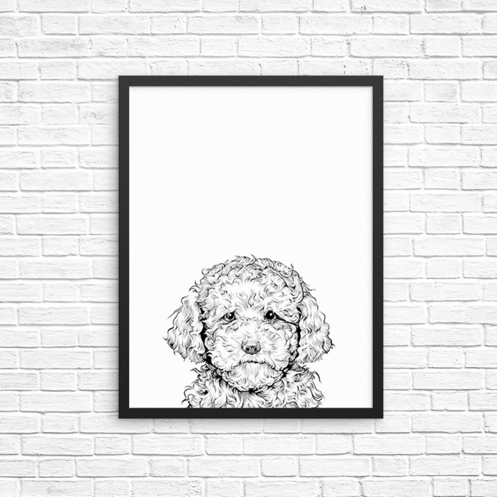 Cavapoo Wall Art Cavadoodle Dog Portrait Print Cavoodle - Etsy