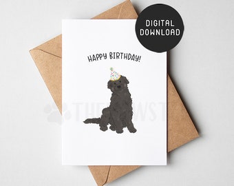 Black Labradoodle Birthday Card - Etsy