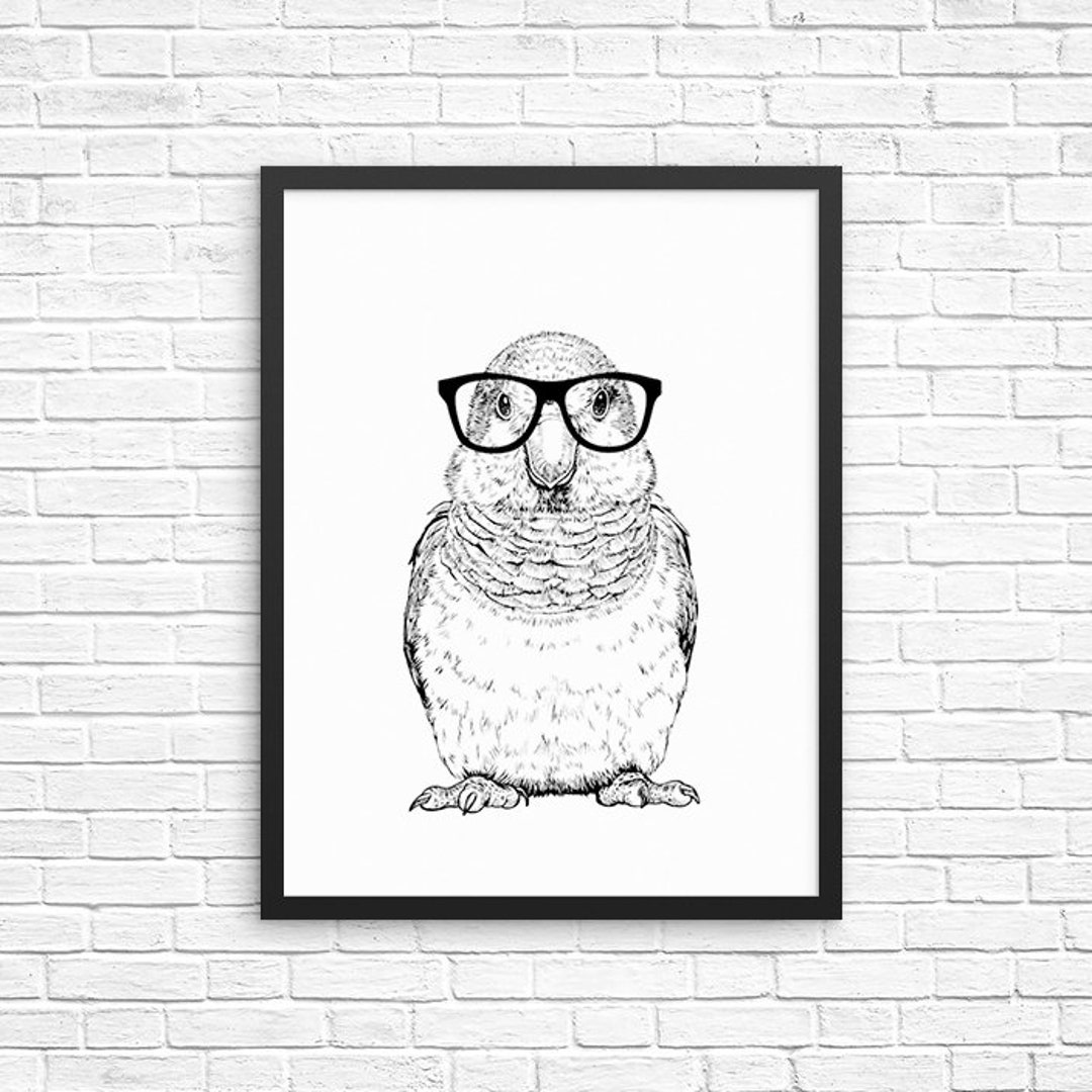 Quaker Parrot Wall Art, Parrot Portrait Print, Bird Lovers Sign, Quaker ...