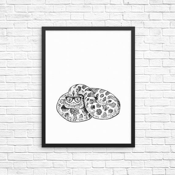Hognose Snake Wall Art Snake Portrait Print Reptile Animal | Etsy
