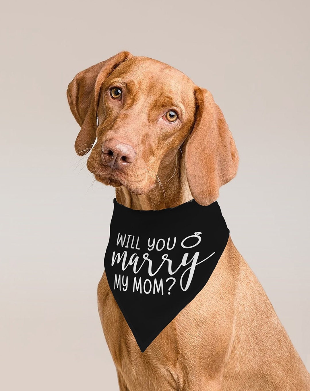 Will You Marry My Mom Dog Bandana Collar, Dog Marriage Proposal Bandana ...