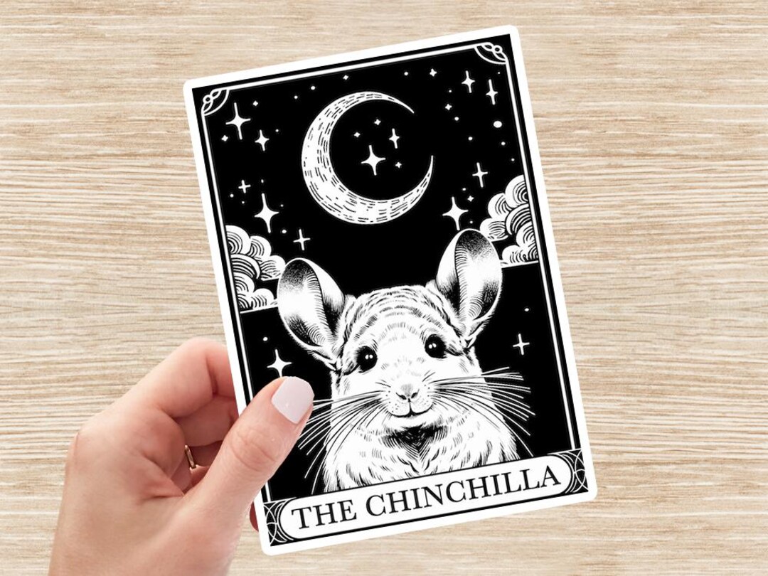 Chinchilla Sticker, Chinchilla Decal, Animal Tarot Card Sticker ...