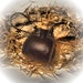 Small Hand Crafted Authentic Medieval Wine Skin With Wooden Stopper ...