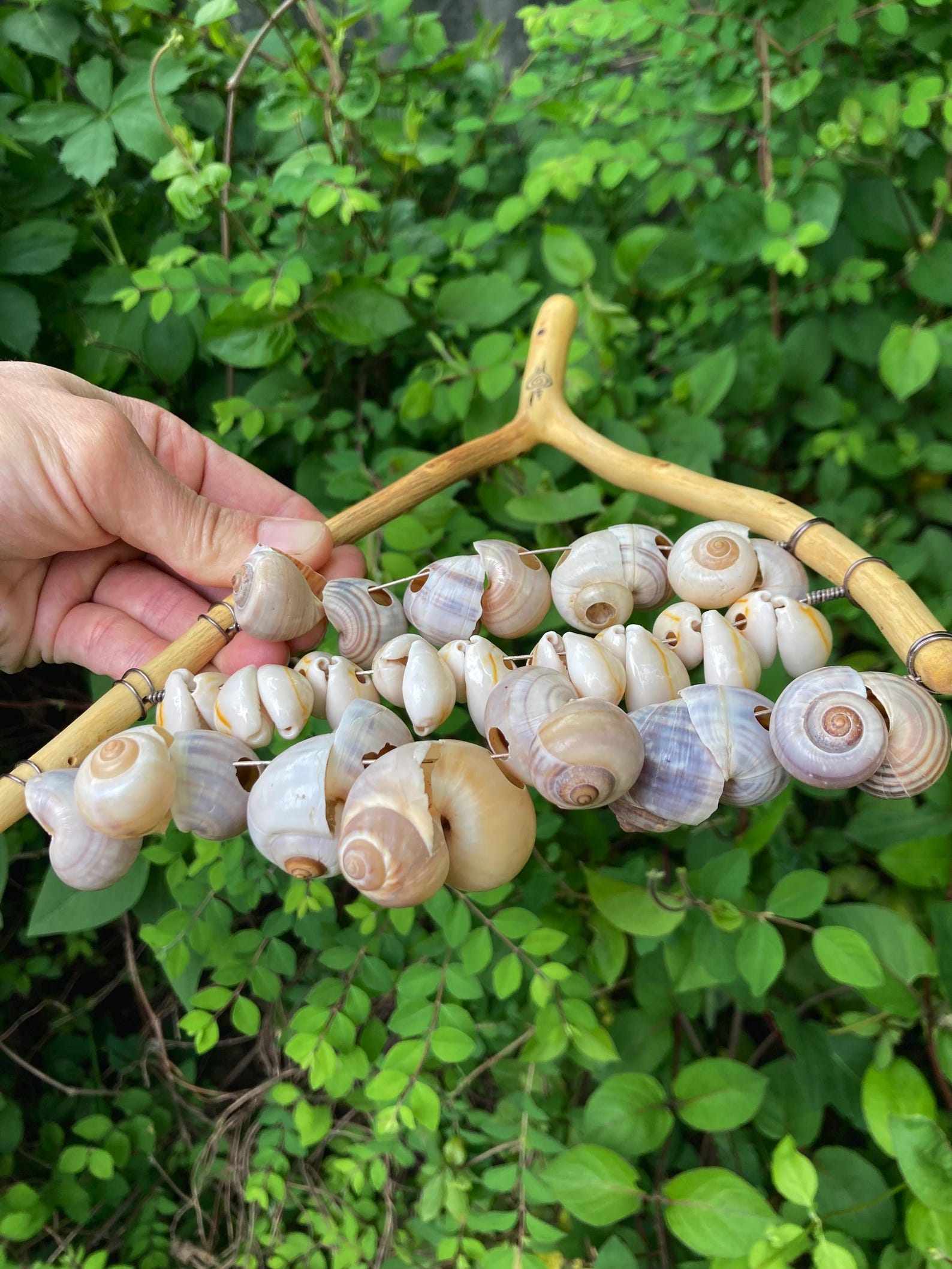 Snail Shaker- Shell Rattle- Rattle Maraca- Music Instrument- Percussion ...