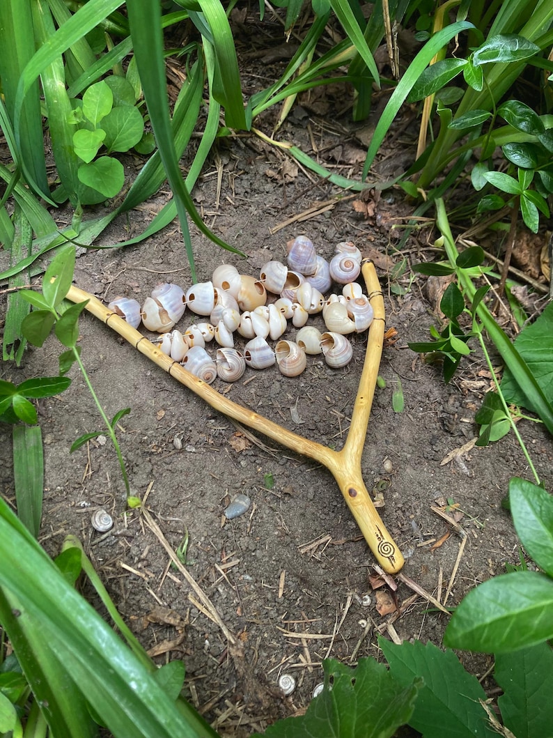 Snail Shaker- Shell Rattle- Rattle Maraca- Music Instrument- Percussion ...