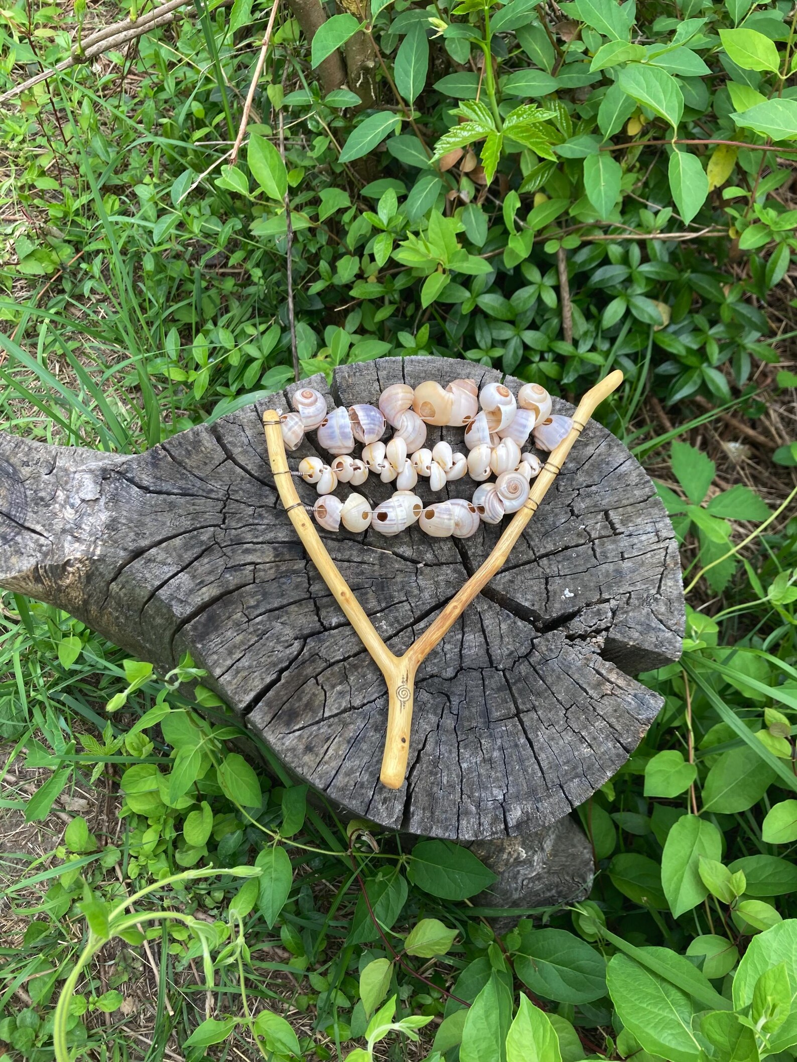 Snail Shaker- Shell Rattle- Rattle Maraca- Music Instrument- Percussion ...