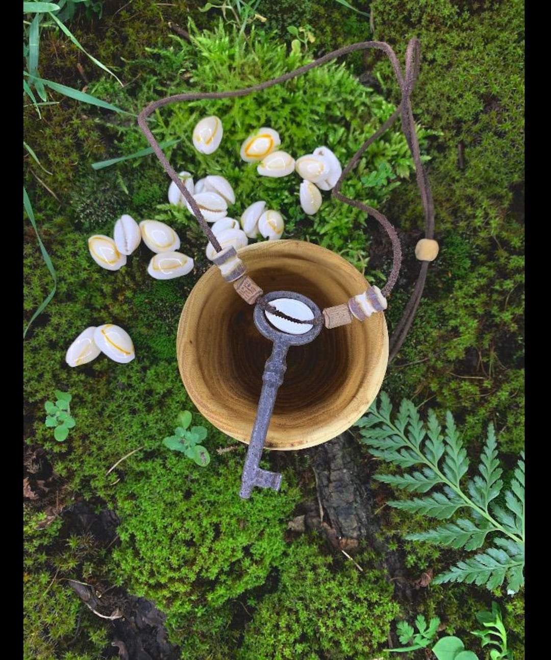 Santería Divination Set 21 Cowries Wicca Pegan Witchcraft - Etsy