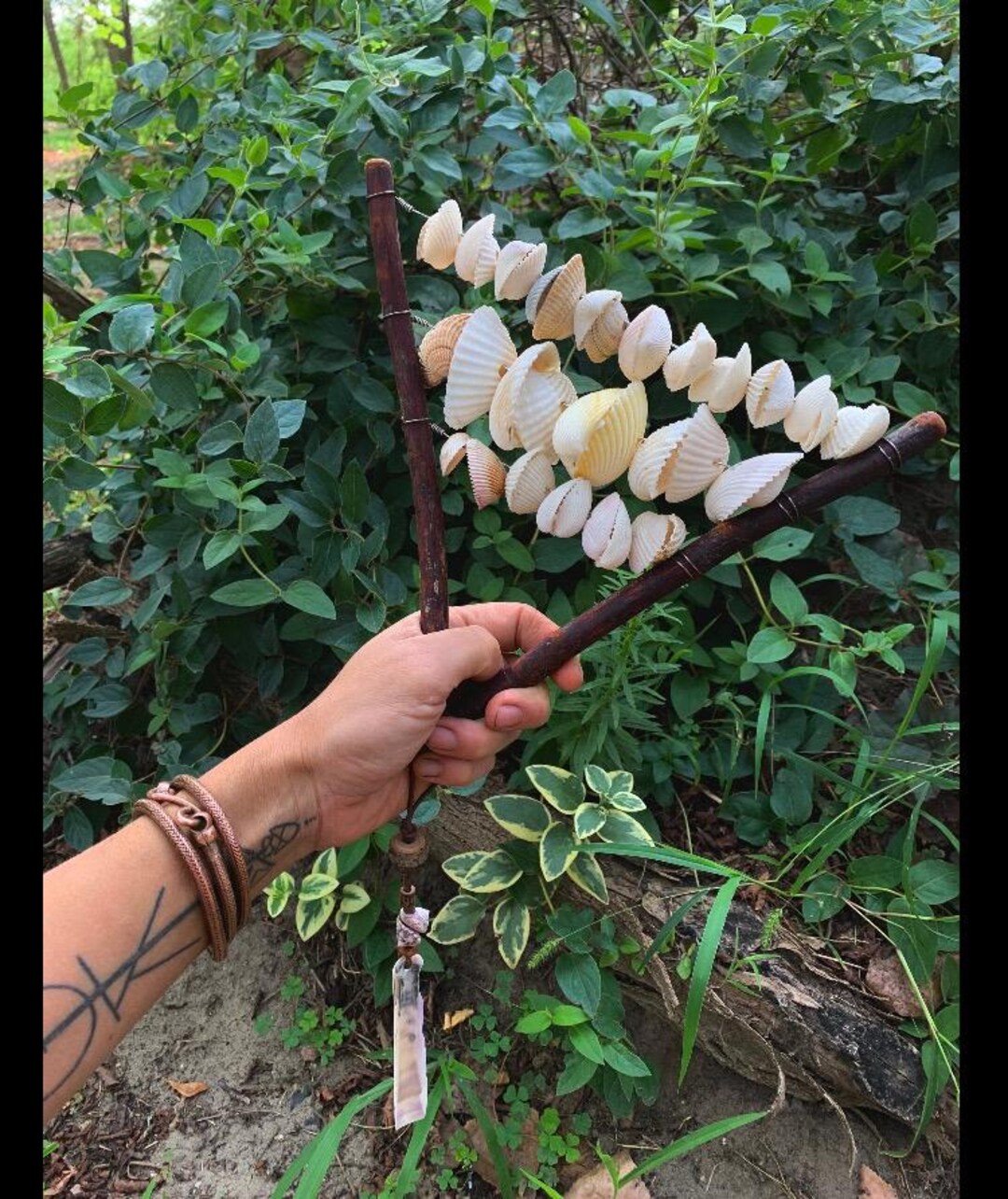 Sea Shaker Shell Rattle Rattle Maraca Ceremonial Tool Medicine Sound - Etsy