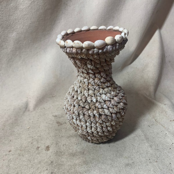 Shell Vase - Etsy