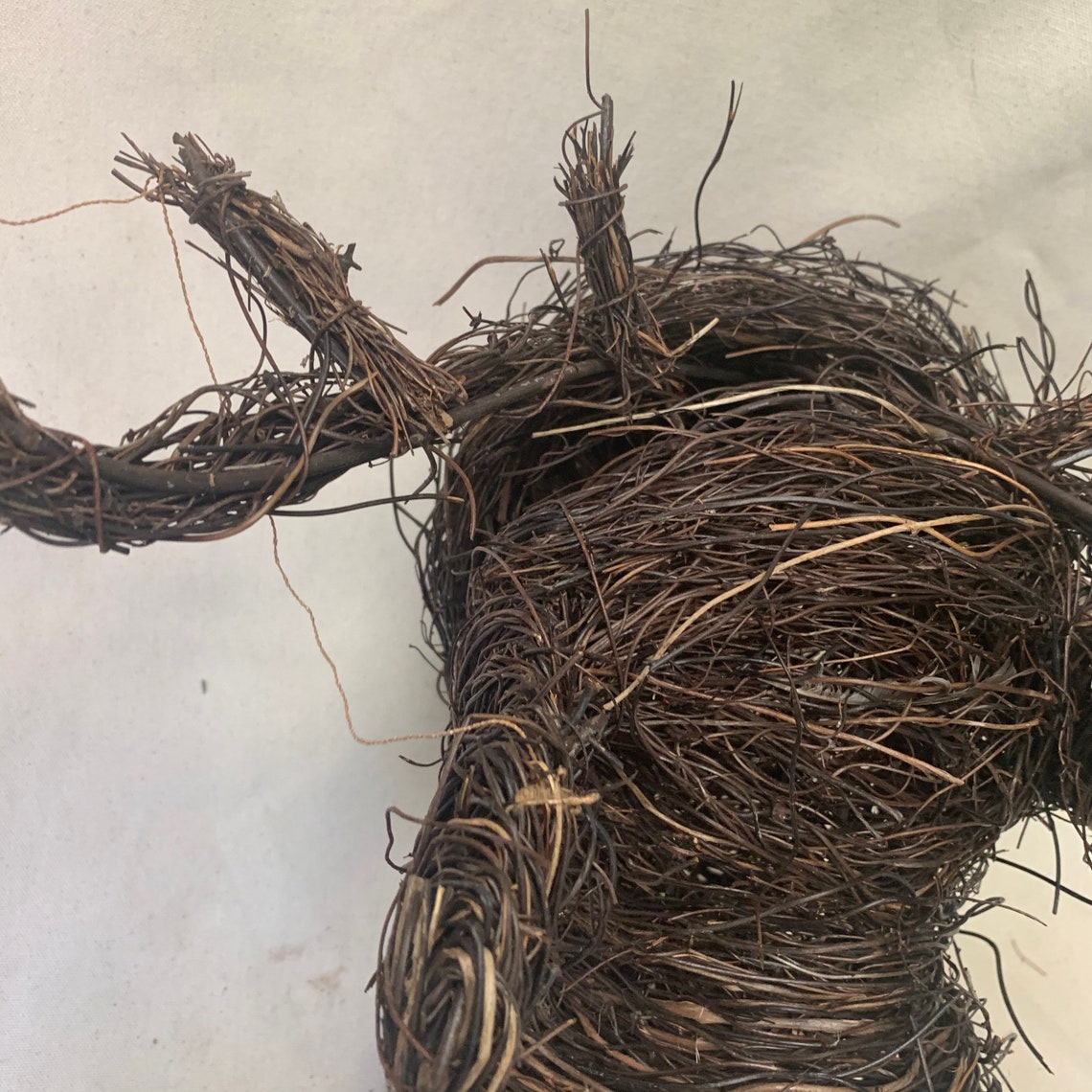 Wonky Stick Deer Head Mount - Etsy