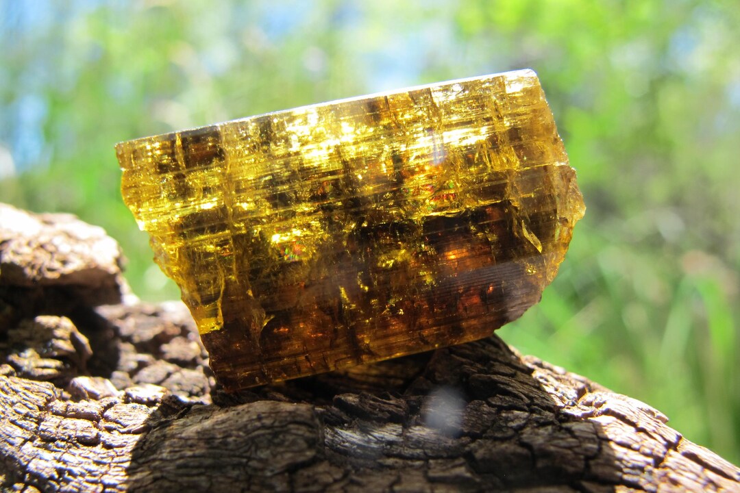 Earth Sun Mystic Gemmy Yellow Brown Tourmaline Crystal With Rainbow ...