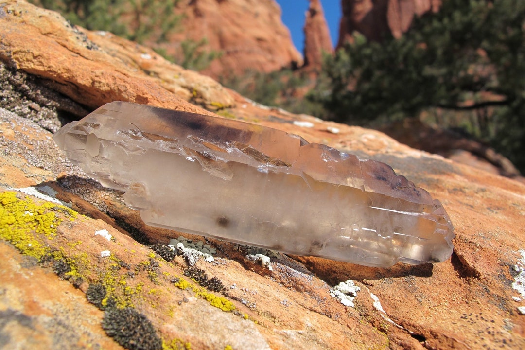 Transit Star Expanse Rare Double Terminated Cathedral Smoky Leopard ...