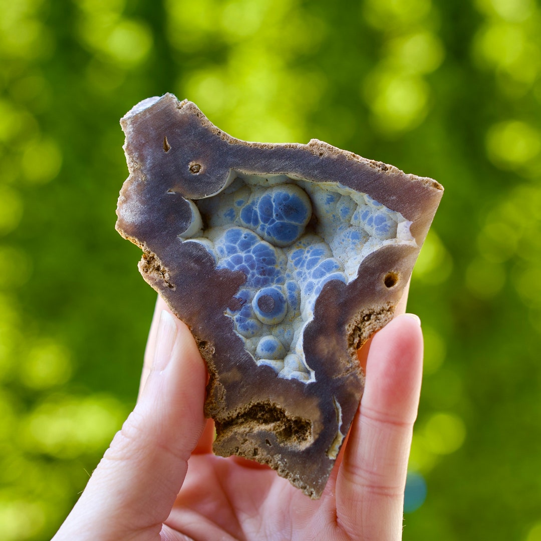 Agatized Coral Half Slice Raw Mineral Slab Stones and Rocks for Cabbing ...