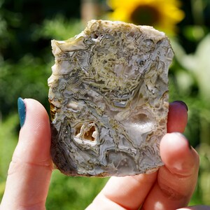 Raw Tube Agate Slice Slab Stones and Rocks for Cabbing Lapidary Rough ...