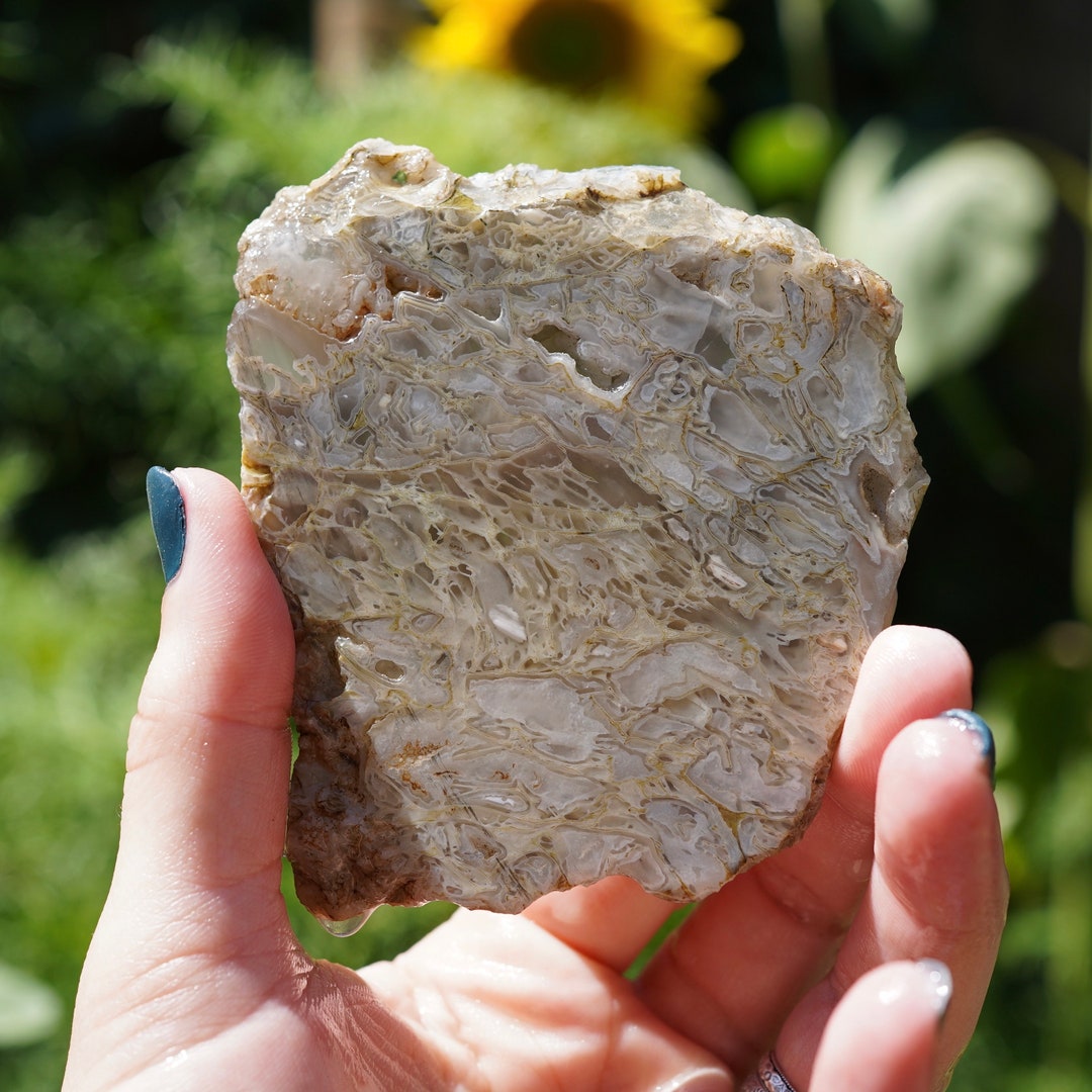 Raw Tube Agate Slice | Slab | Stones and Rocks for Cabbing | Lapidary ...