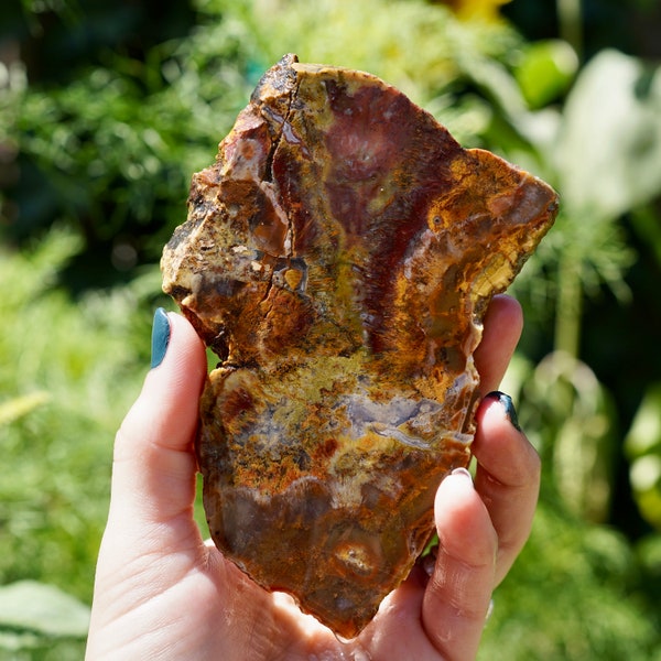 Kaleidoscope Jasper - Etsy