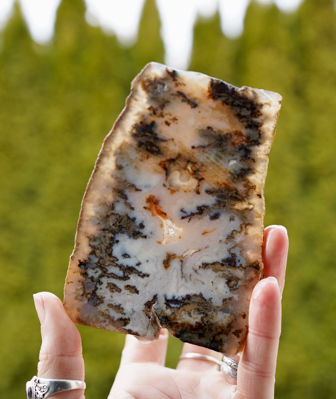 Graveyard Point Plume Agate Slice | Mineral Slab | Stones and Rocks for ...