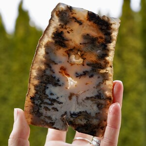 Graveyard Point Plume Agate Slice | Mineral Slab | Stones and Rocks for ...