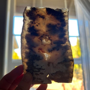 Graveyard Point Plume Agate Slice | Mineral Slab | Stones and Rocks for ...