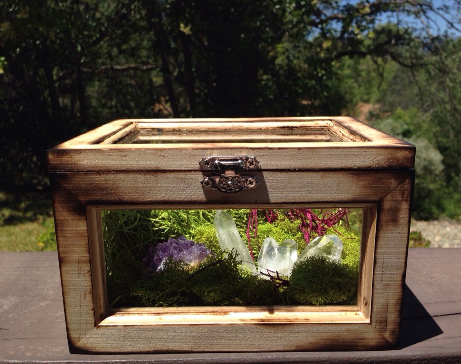 Terrarium Box Crystal Garden Wood and Glass Terrarium Air - Etsy
