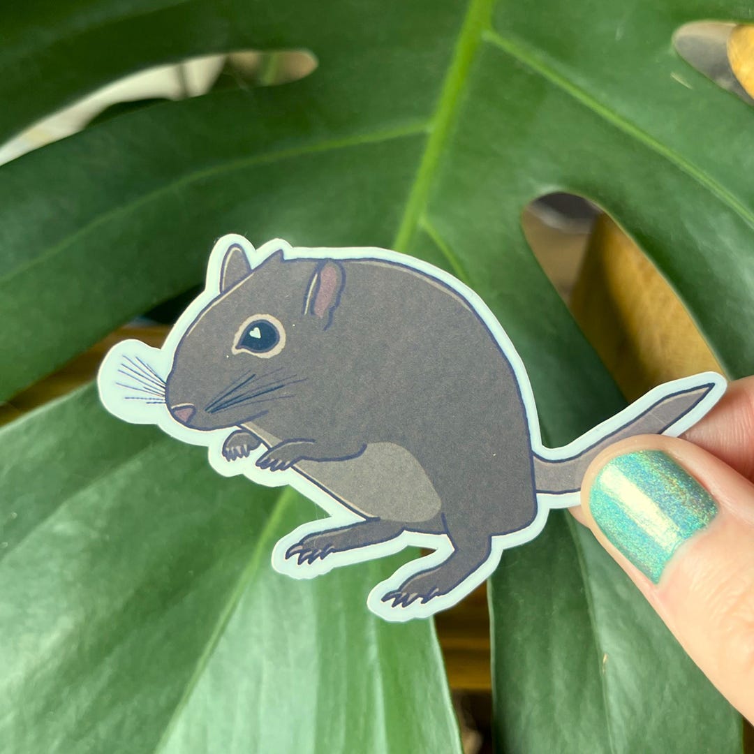 Brown Gerbil Sticker, Waterproof Vinyl, Laptop Decal - Etsy