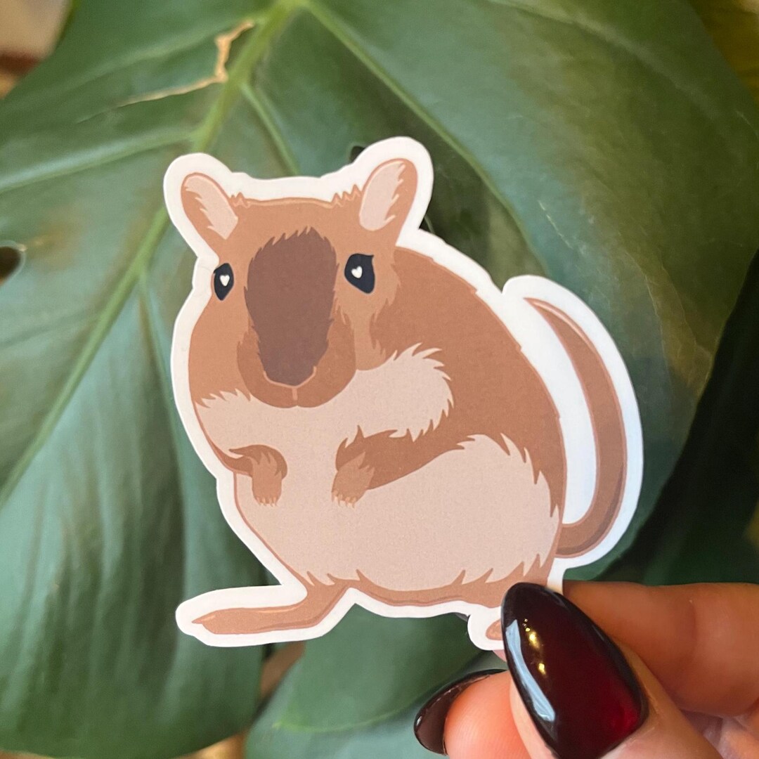Light Brown Gerbil Sticker. Paper Vinyl Laminate. - Etsy