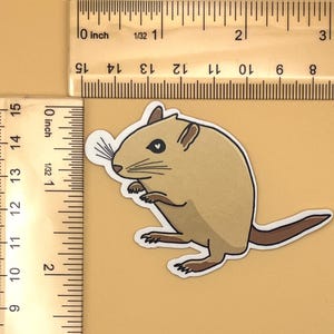 Tan Gerbil Sticker, Waterproof Vinyl, Planner Scrapbook Decal - Etsy
