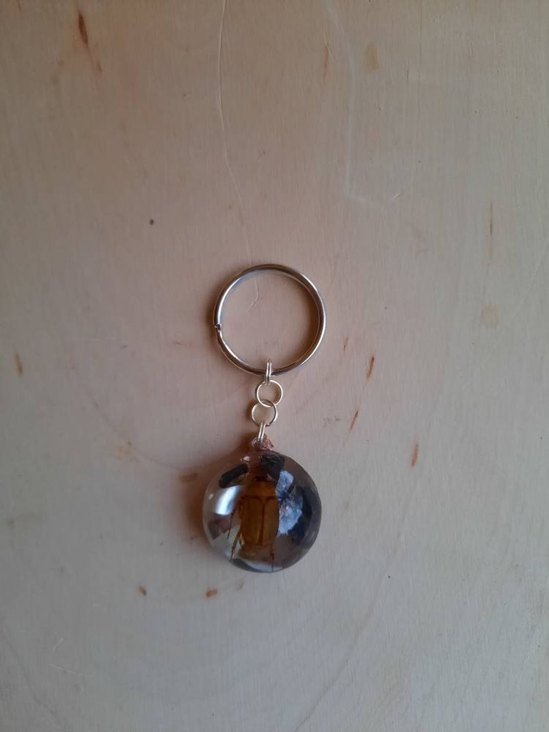 Cruelty Free Real June Bug Circular Keychain With Black Shell Healing ...